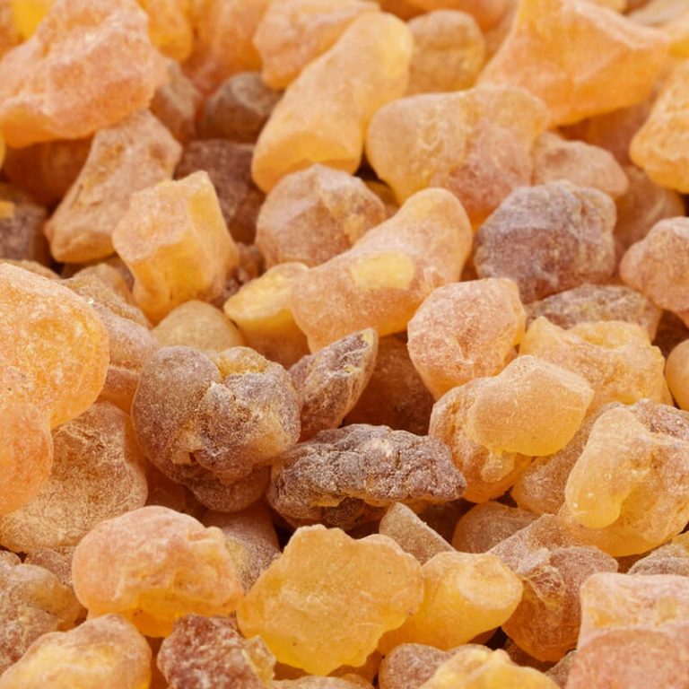 Frankincense (Olibanum) | Gargore Trading Company
