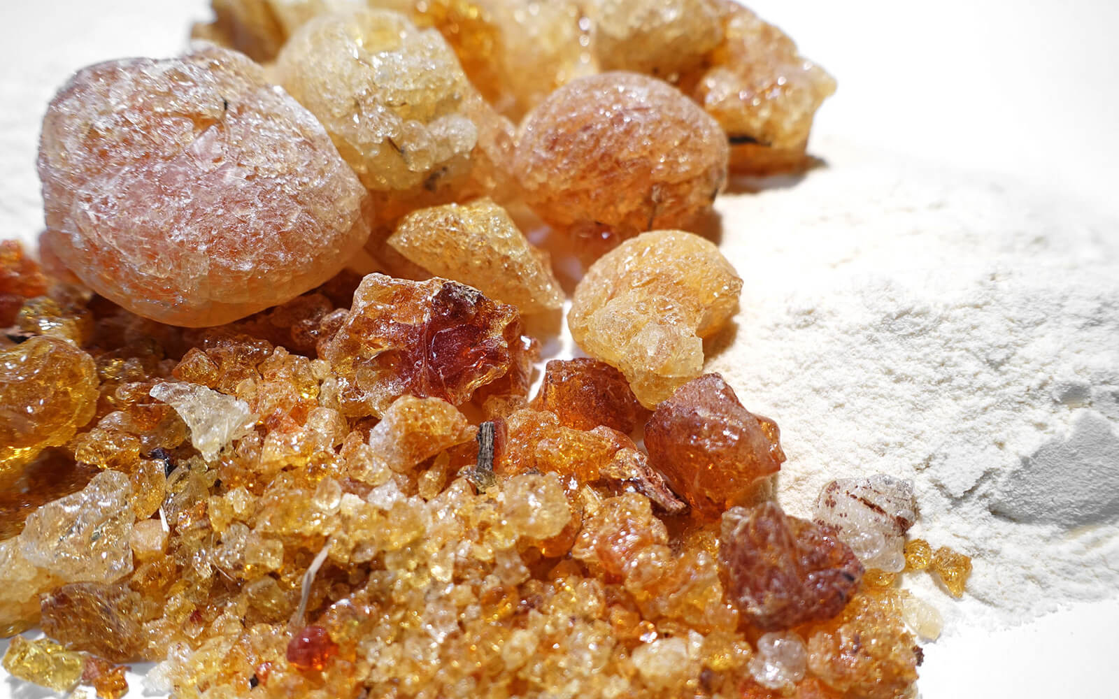 Gum Arabic (Acacia) | Gargore Trading Company