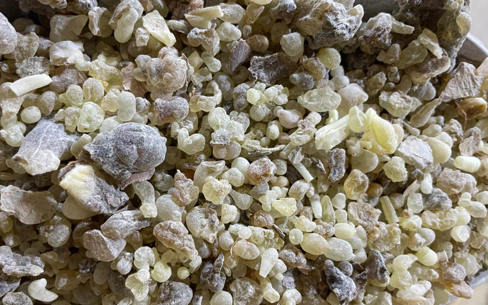Frankincense (Olibanum) | Gargore Trading Company